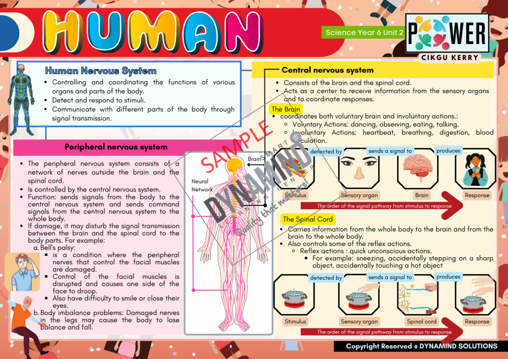 DLP POWER E-NOTES SCIENCE YEAR 6 (REVISED KSSR) 77pages – powerdynamind