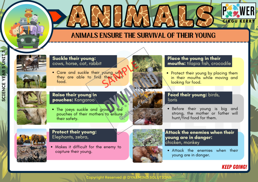 DLP POWER E-NOTES SCIENCE YEAR 5 (REVISED KSSR) 60pages – powerdynamind