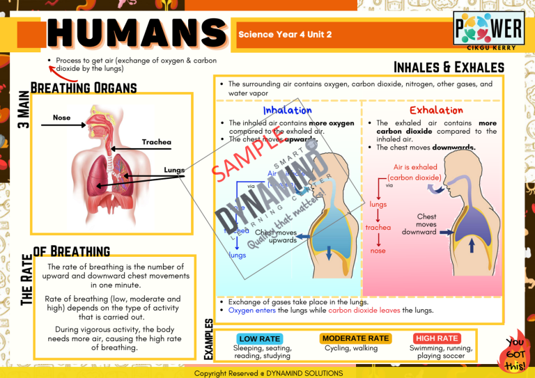 DLP POWER E-NOTES SCIENCE YEAR 4 (REVISED KSSR) 60pages – powerdynamind
